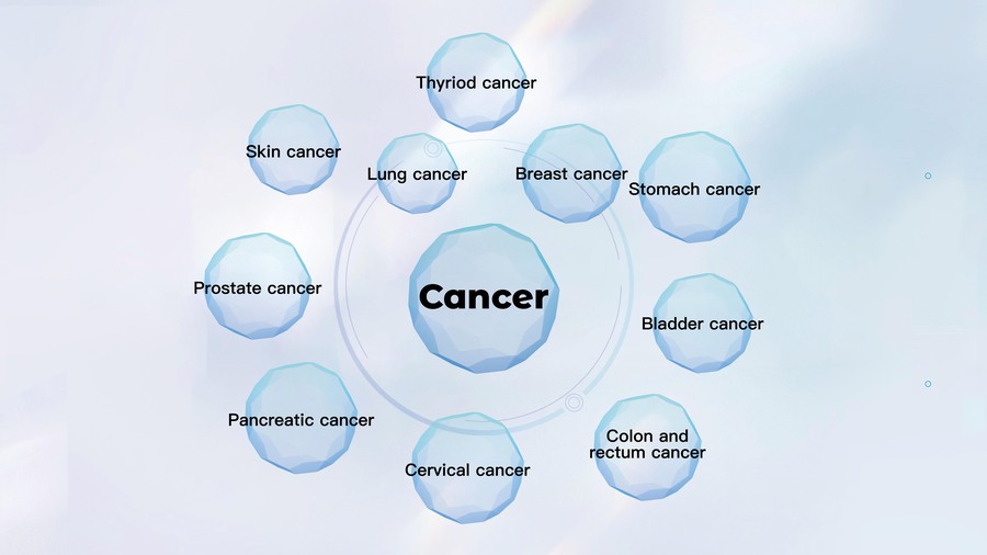 Our Focus - Aomo Pharma Inc.